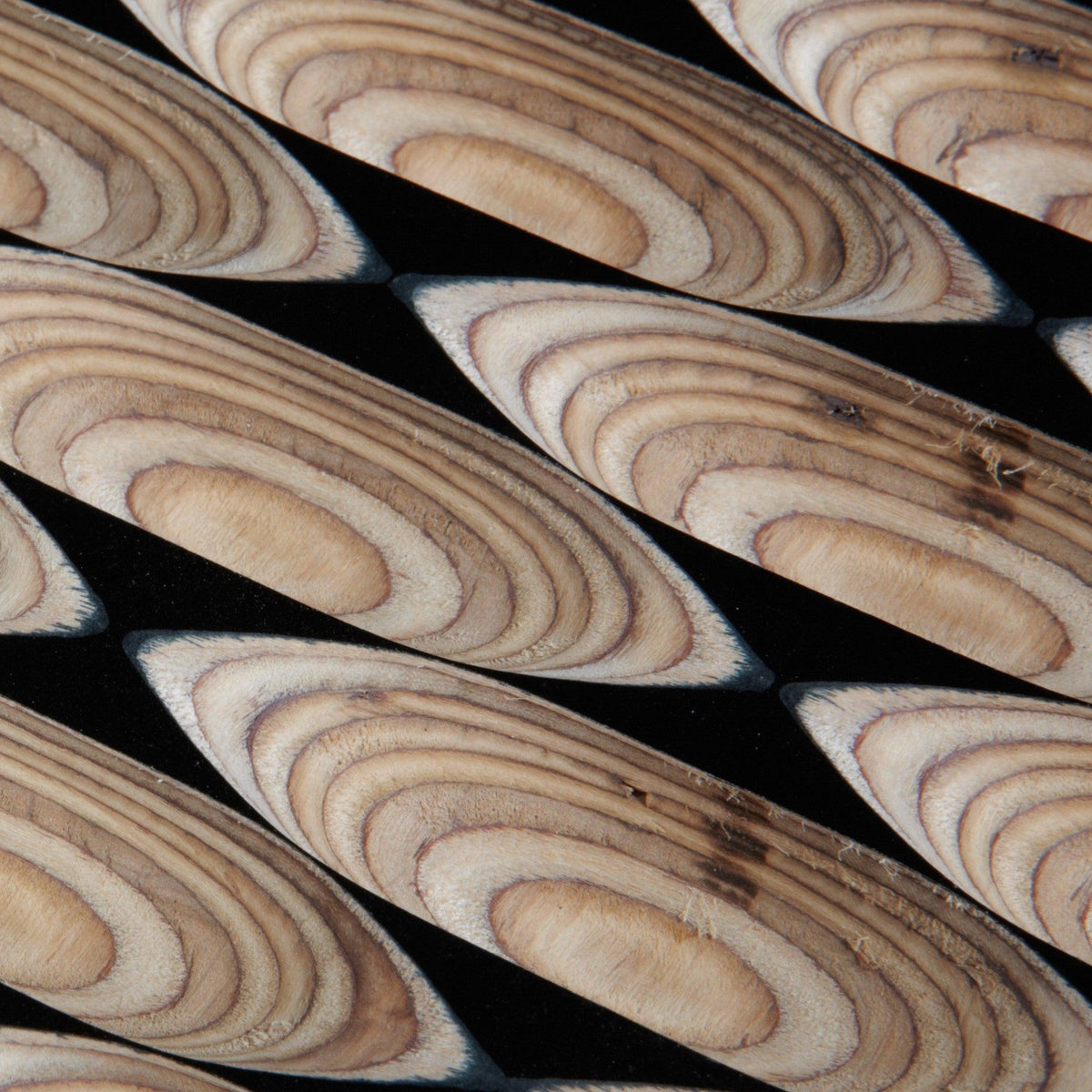 Exterior Plywood – Ply Online